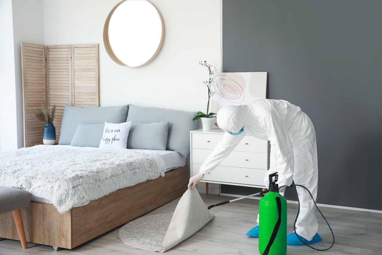 Effective Biohazard Carpet Cleaning Tips for Safe Homes