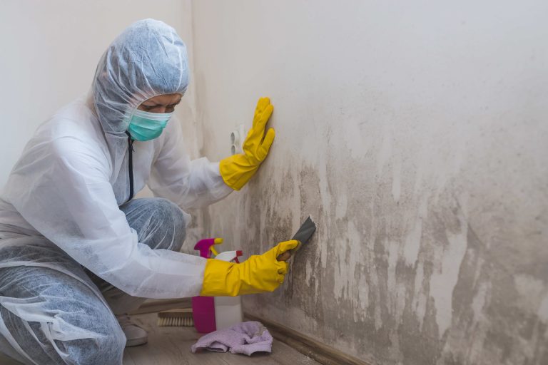 Winter Mold Growth: 5 Surprising Ways Utah’s Cold Snaps Trigger Hidden ...