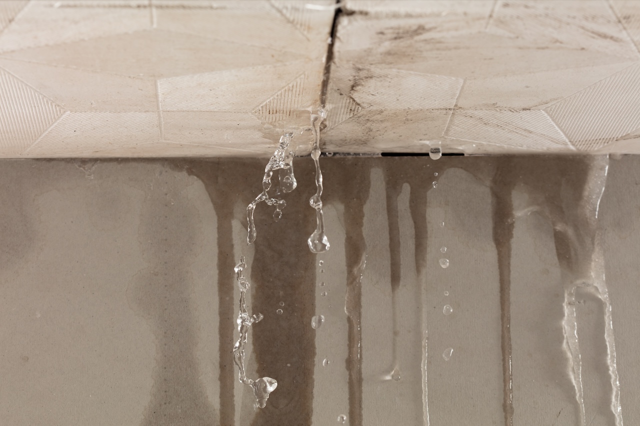 Ceiling Tile Water Damage: Repairing and Preventing Issues