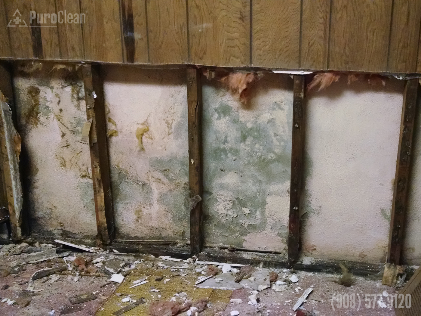 Water Damage Restoration Experts- PuroClean Cranford