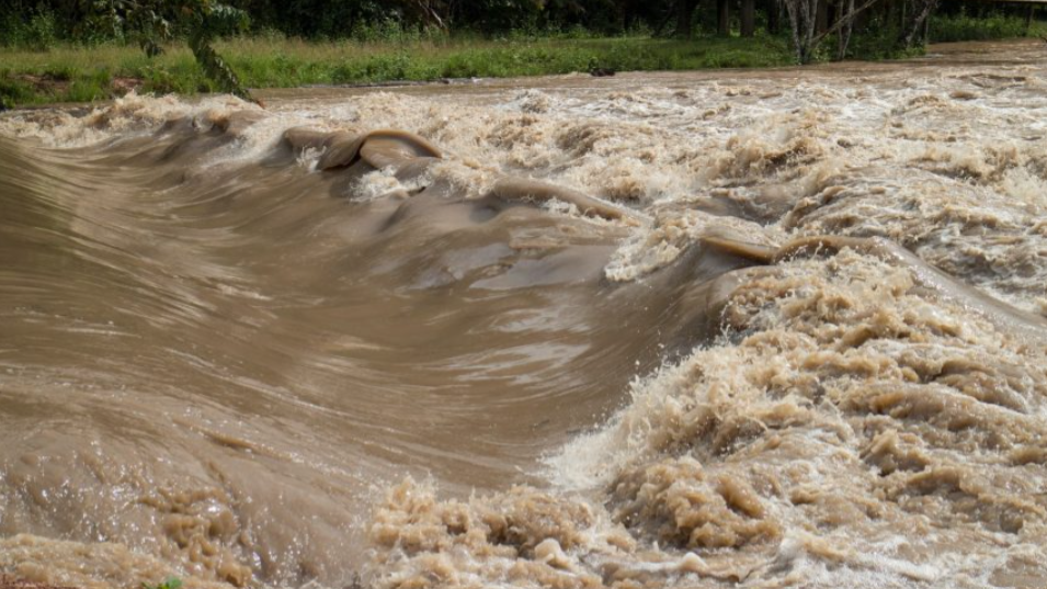 10 Facts About Flash Floods (Must Know) - PuroClean Emergency Recovery ...