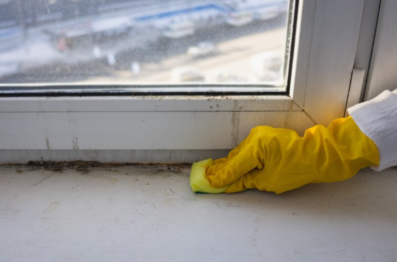 How to Prevent and Remove Mold on Windows - PuroClean Emergency ...