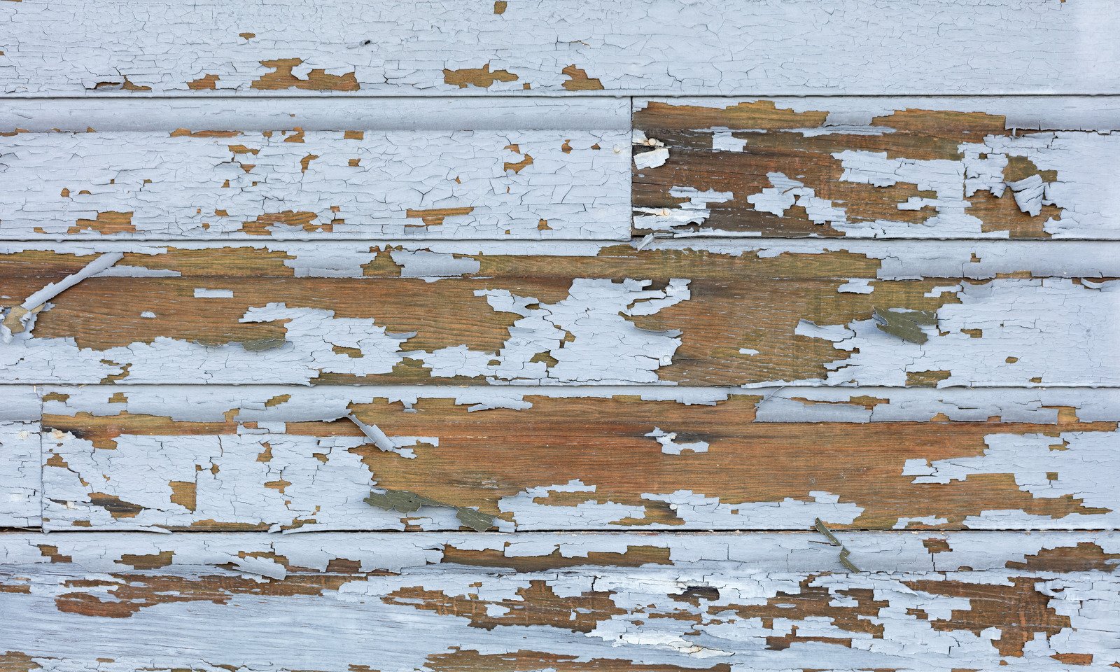 How to Identify Lead Paint in My Denver, CO Home