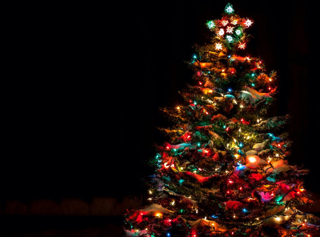 Fire Safety Rules for Your Christmas Tree - PuroClean Home Savers