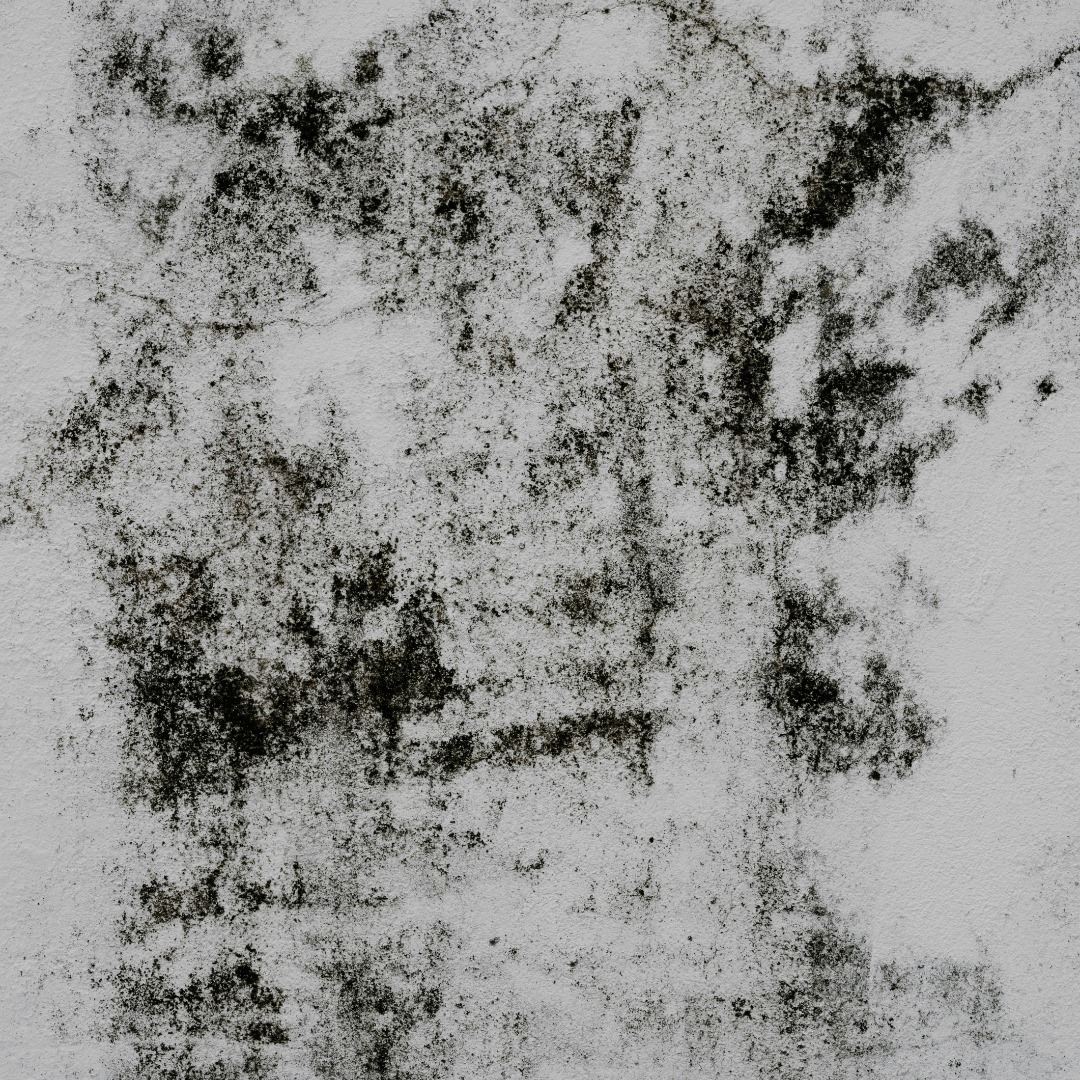 Mold Allergy Mayhem: Urgent Symptoms and Skin Infections – 4 Ways to ...