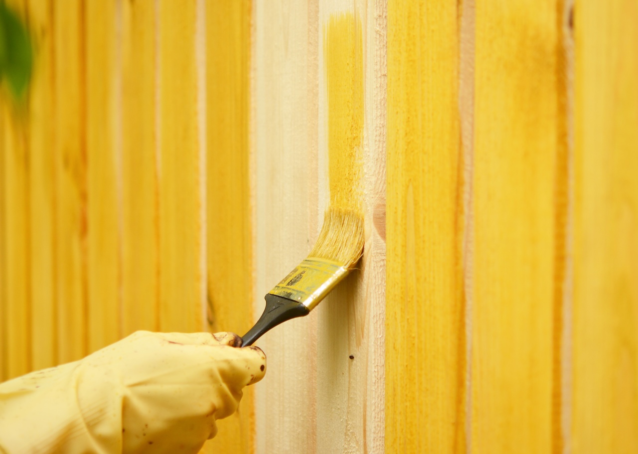 How to Remove Mold from Shed: A Step-by-Step Guide