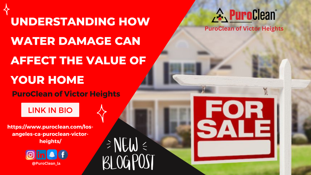 Understanding How Water Damage Can Affect the Value of Your Home ...