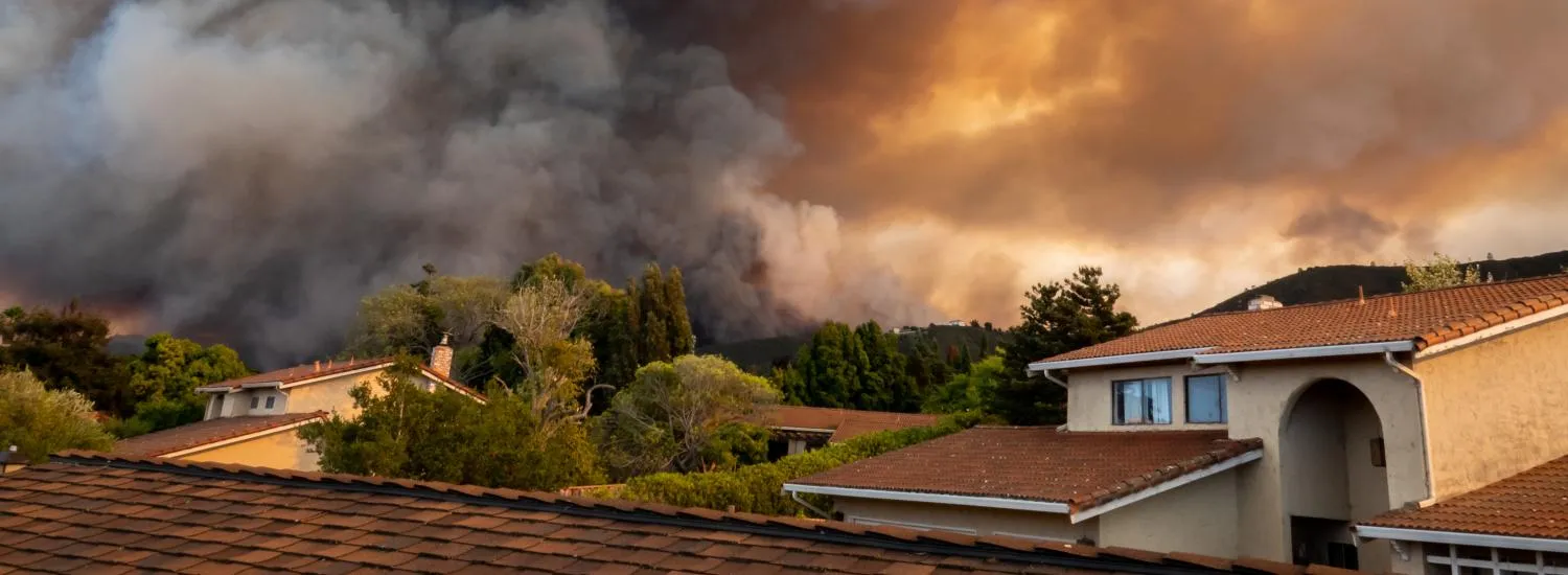 Beyond the Flames: How to Deal with Wildfire Smoke and Ash Damage in ...