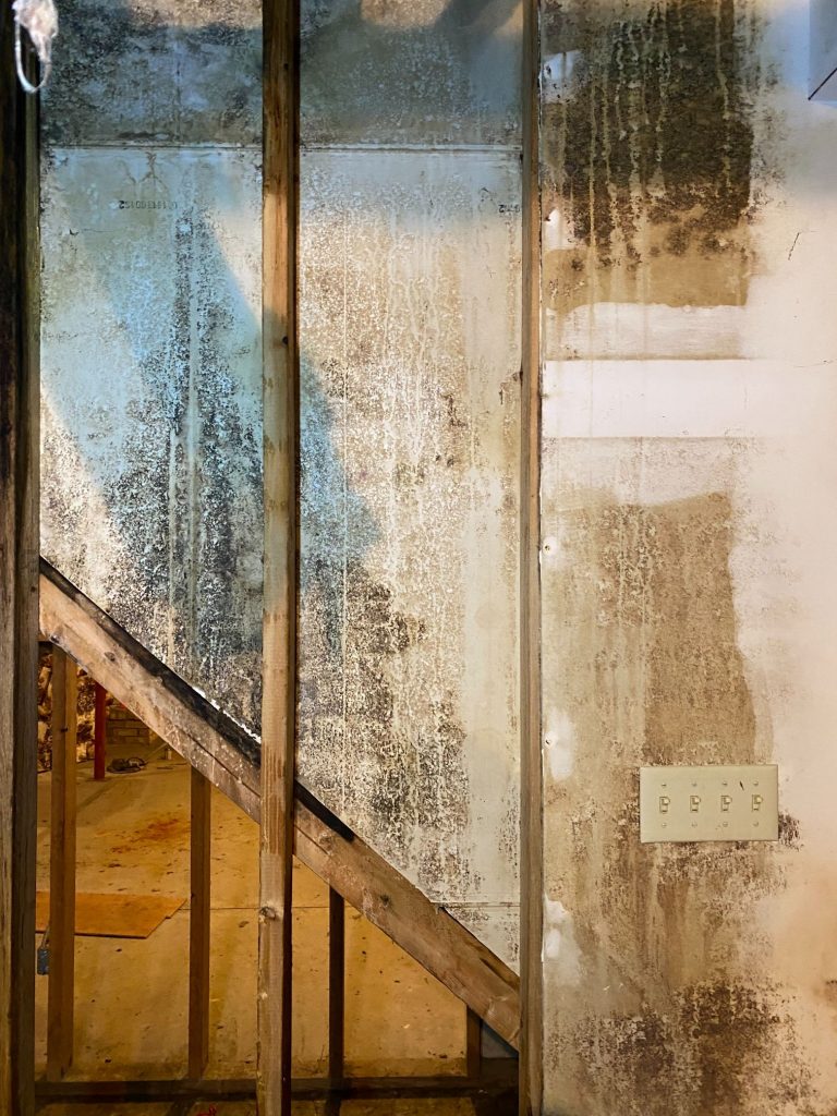 3 Ways to Tell: Is Mold Hiding in Your Walls? - PuroClean Home ...