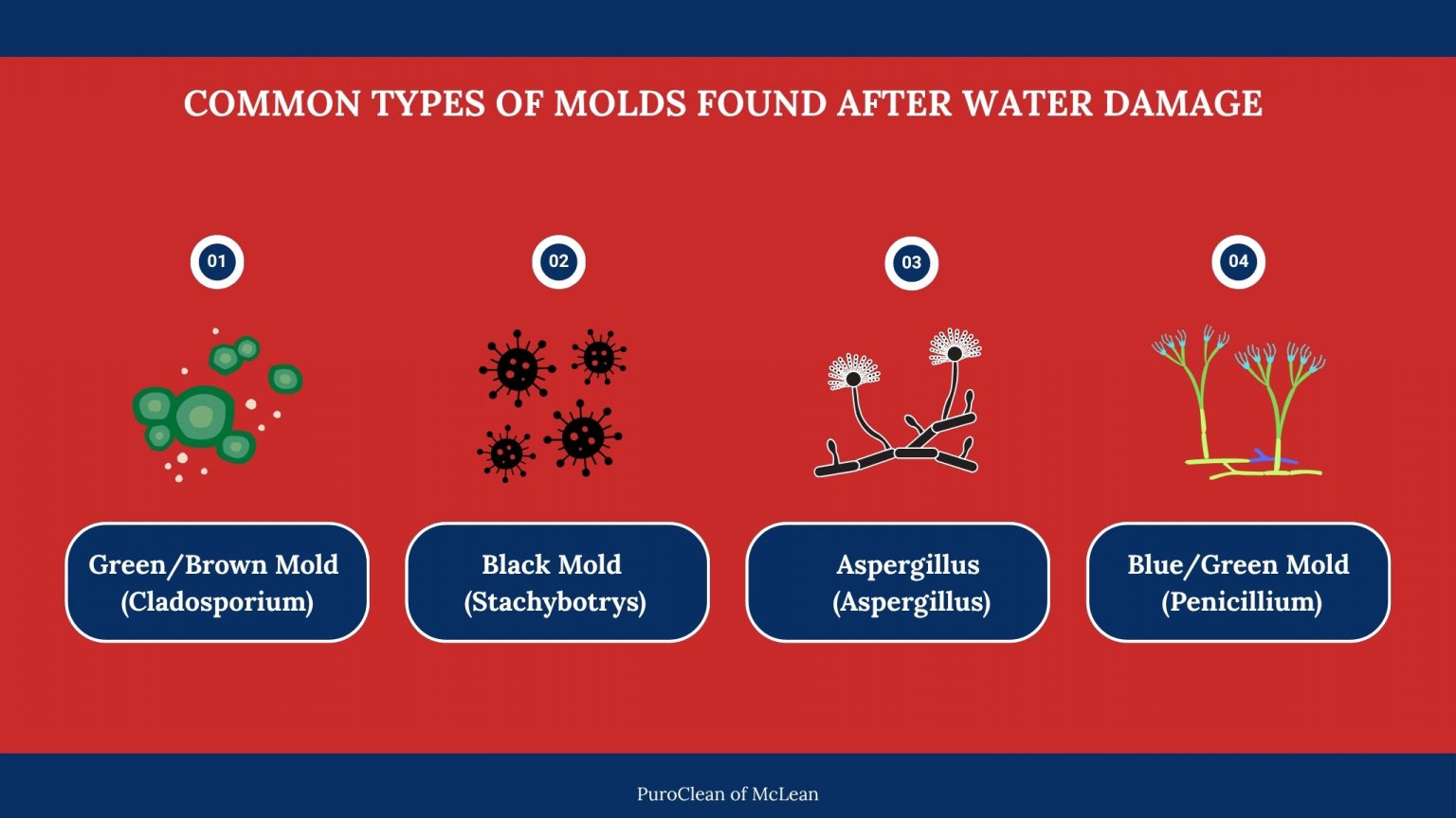 Mold After Water Damage: McLean Home Guide