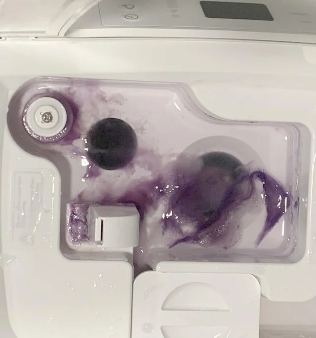 Mold in Humidifier: How to Remove Mold from Humidifier in 2026 ...