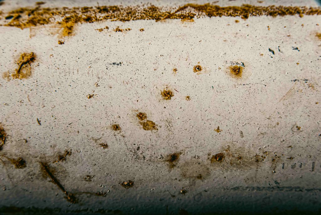 5 Ways to Prevent Mold in Your Garage – Mold Remediation Services in WA