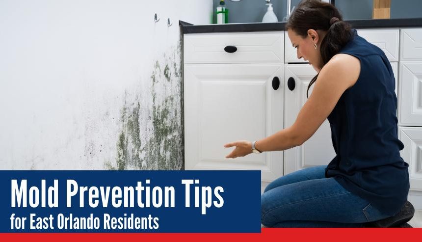7 Mold Prevention Tips for East Orlando Residents: Keeping Your Home ...