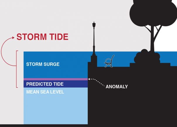 Storm Surge Explained: What Orlando Residents Need to Know