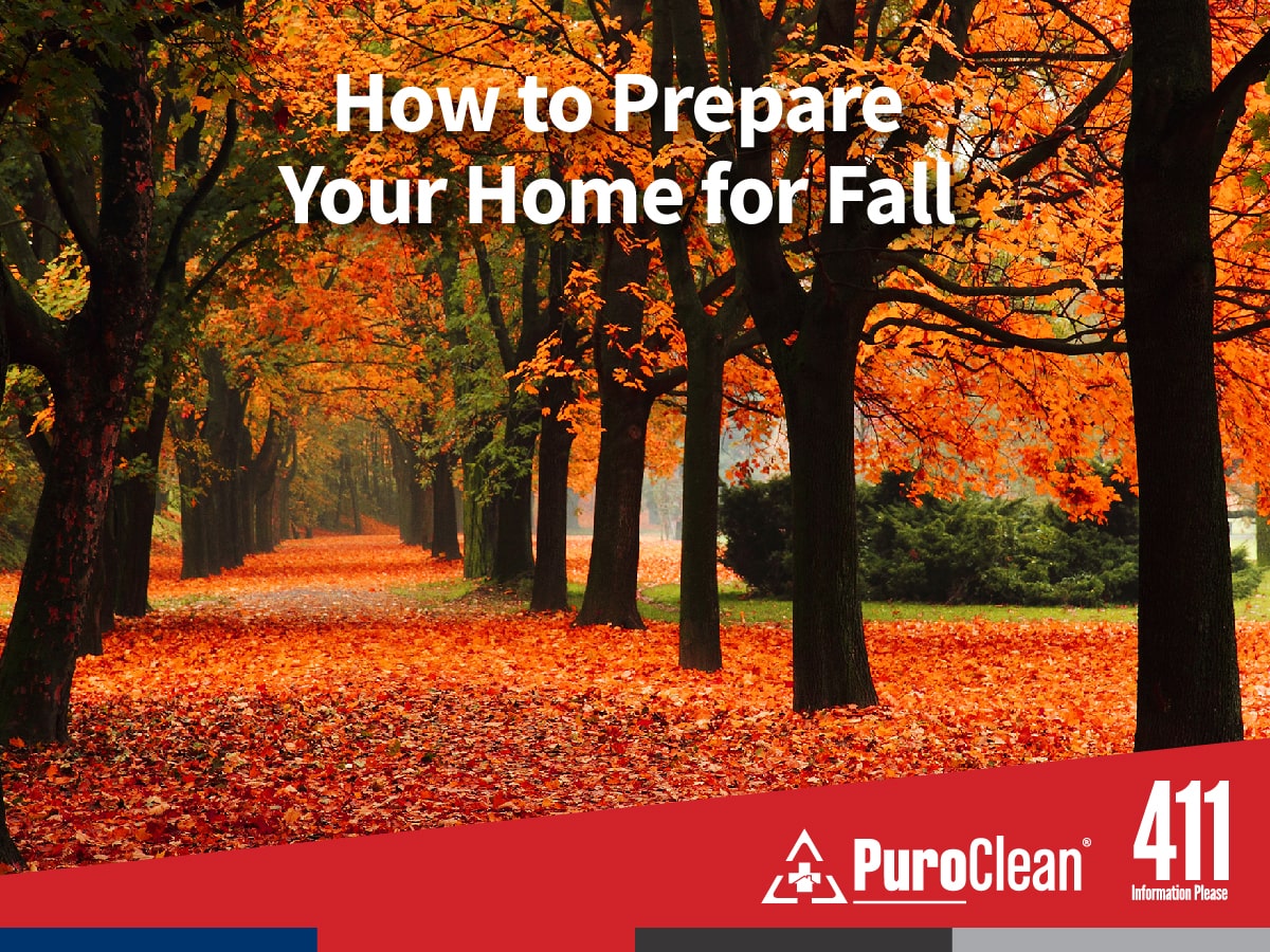 7 Powerful Tips to Protect Charlotte Homes from Fall Rain and Storms