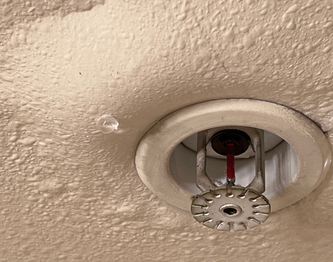 Emergency Water Damage vs. Gradual | (850) 399-3380