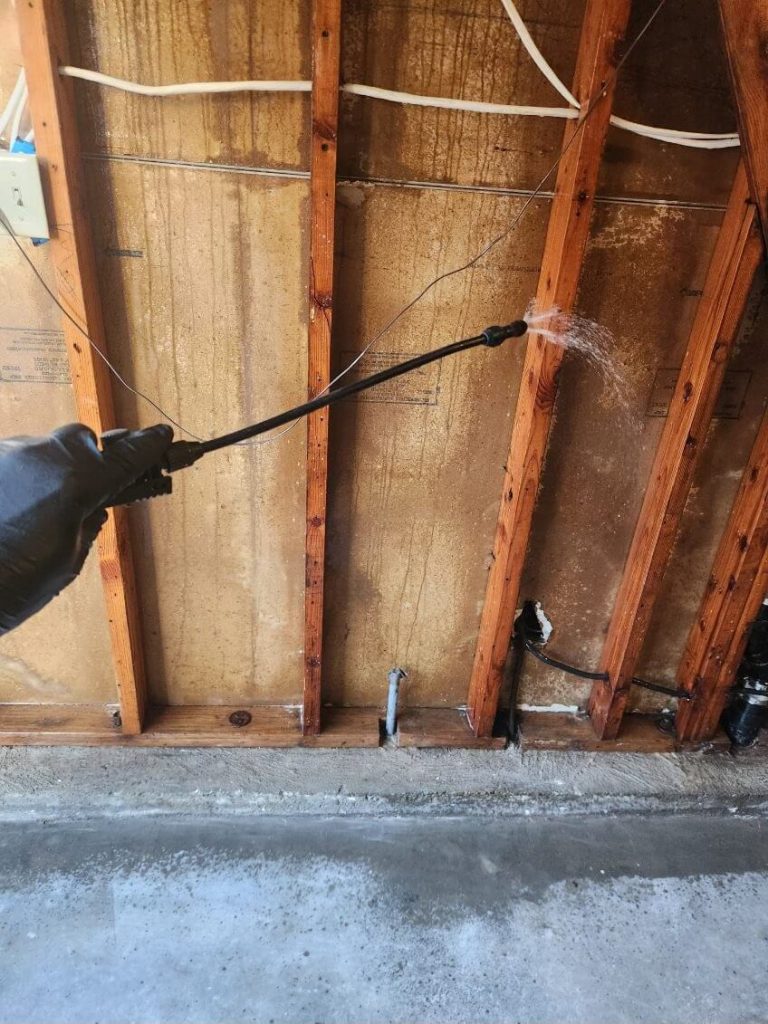 Damp Days: PuroClean of Bonita's Garage Rescue from a Kitchen Culprit ...