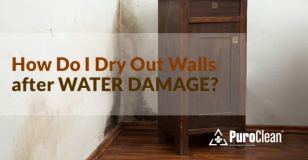 How to Dry Wet Walls After Water Damage: A DIY Guide
