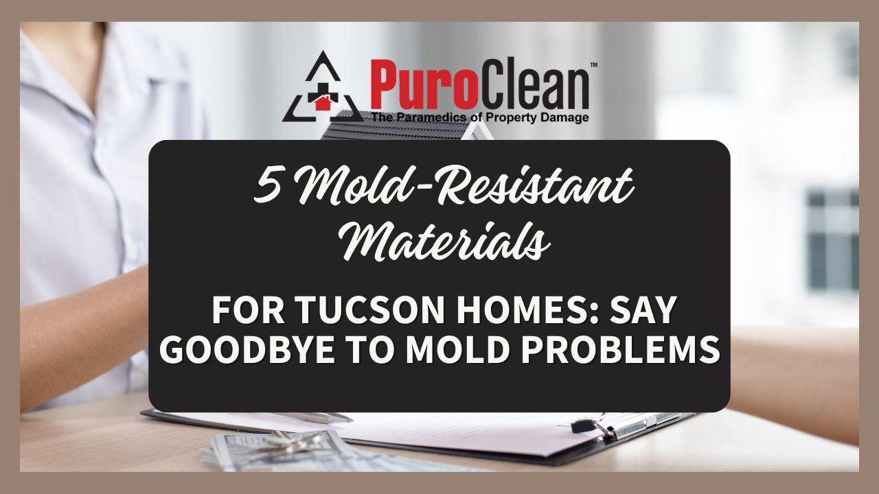 5 Best Mold-Resistant Materials for Tucson Homes: Say Goodbye to Mold ...