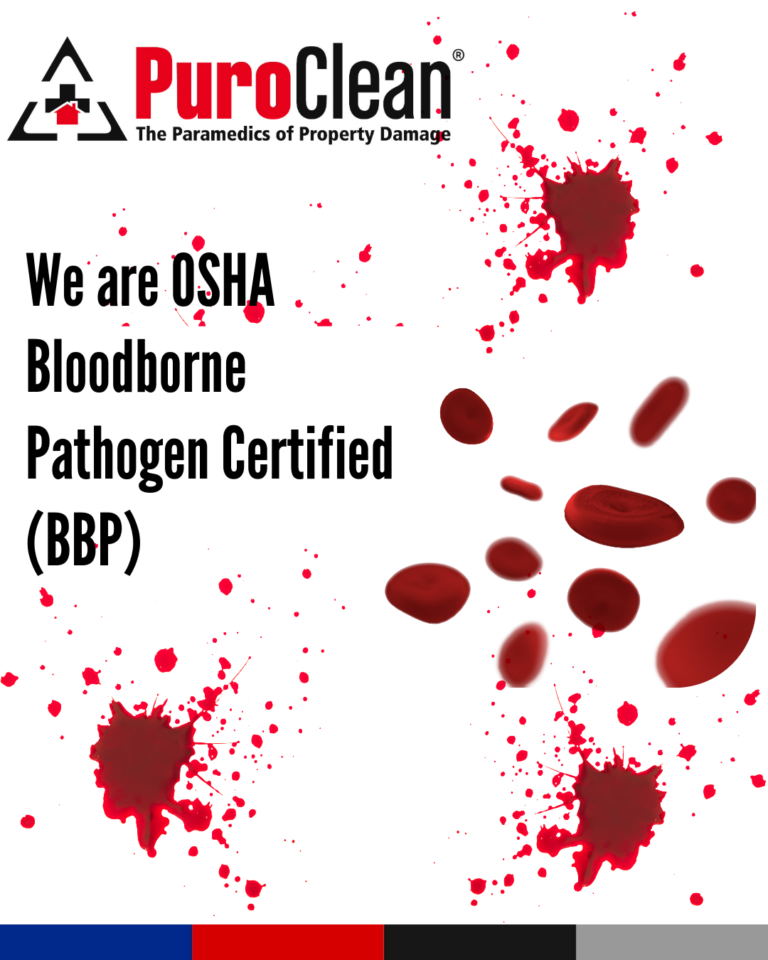 About PuroClean of Whitestone serving Flushing, NY