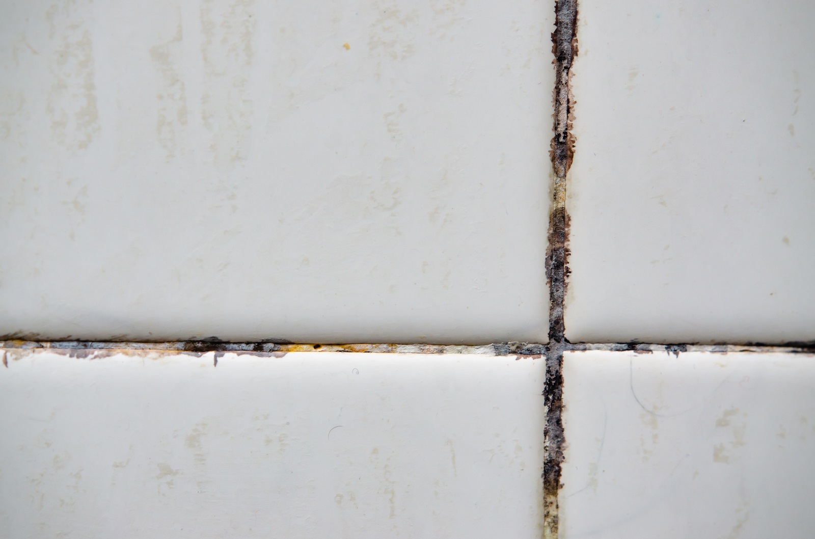 How to Remove Mold in the Kitchen: Quick Guide