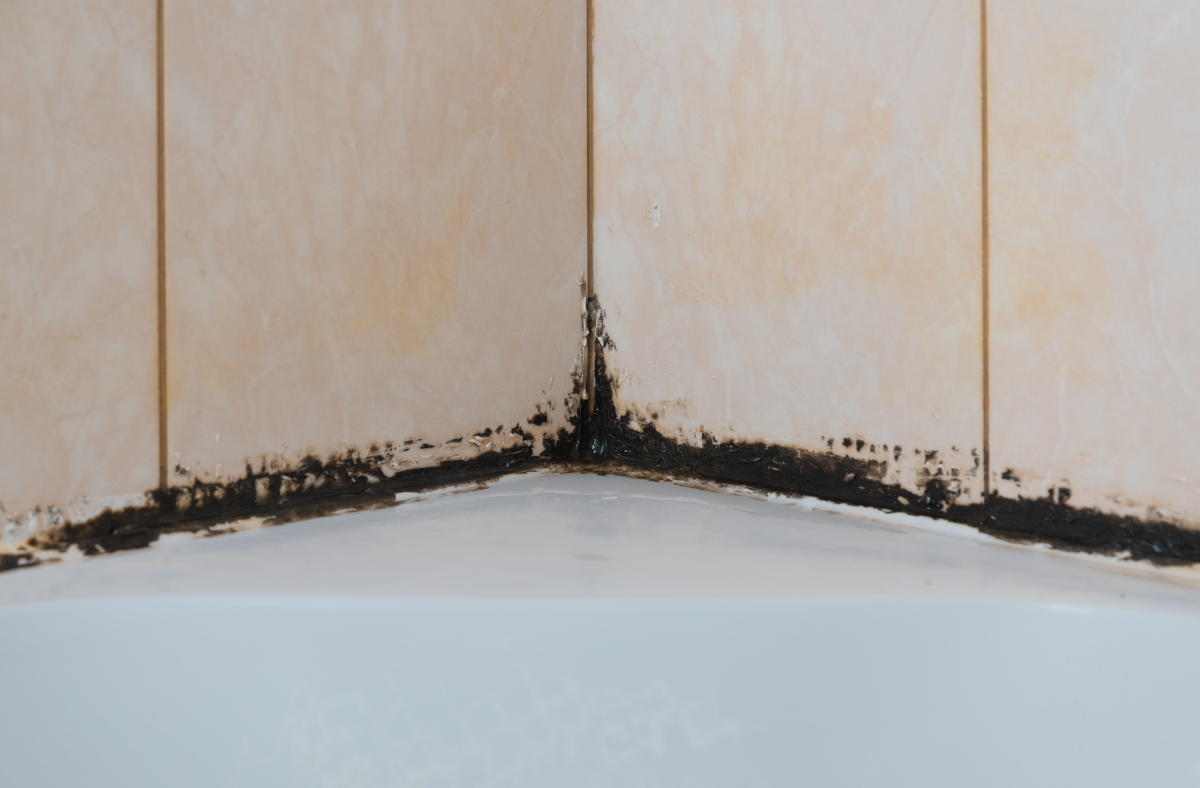 Mold in Shower: How to Get Rid of Mold in Shower - PuroClean HQ