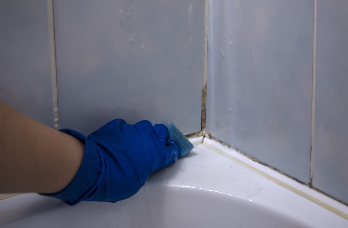 Mold in Shower: How to Get Rid of Mold in Shower - PuroClean HQ
