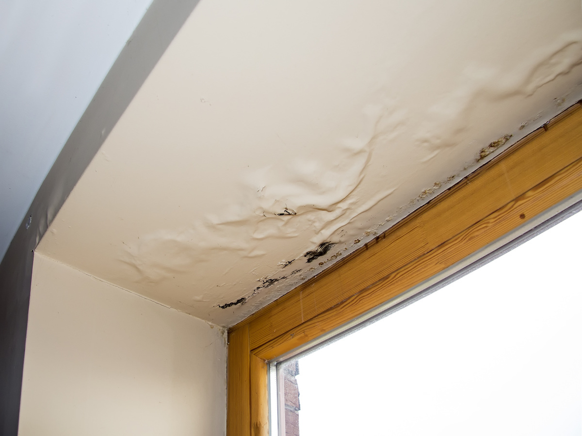 What to Do About Walls and Ceilings Affected by Water Damage