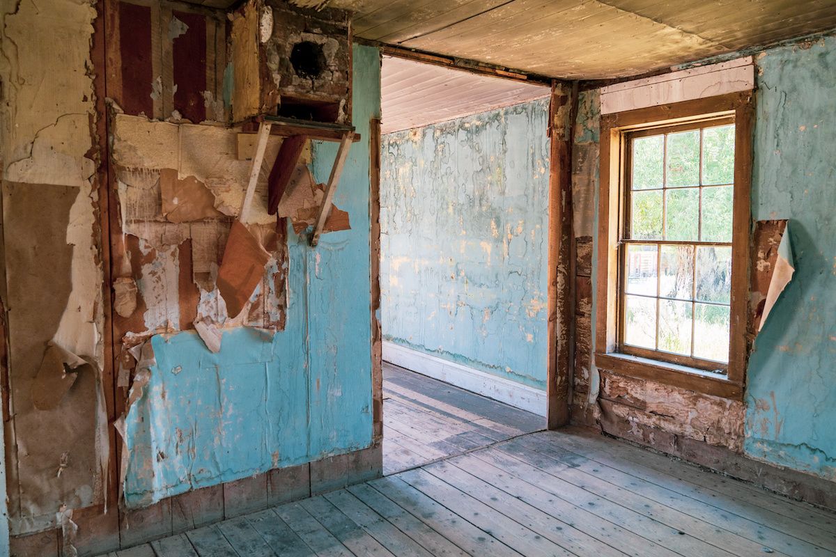 From Struggle to Success: How Much Does Mold Devalue a Home