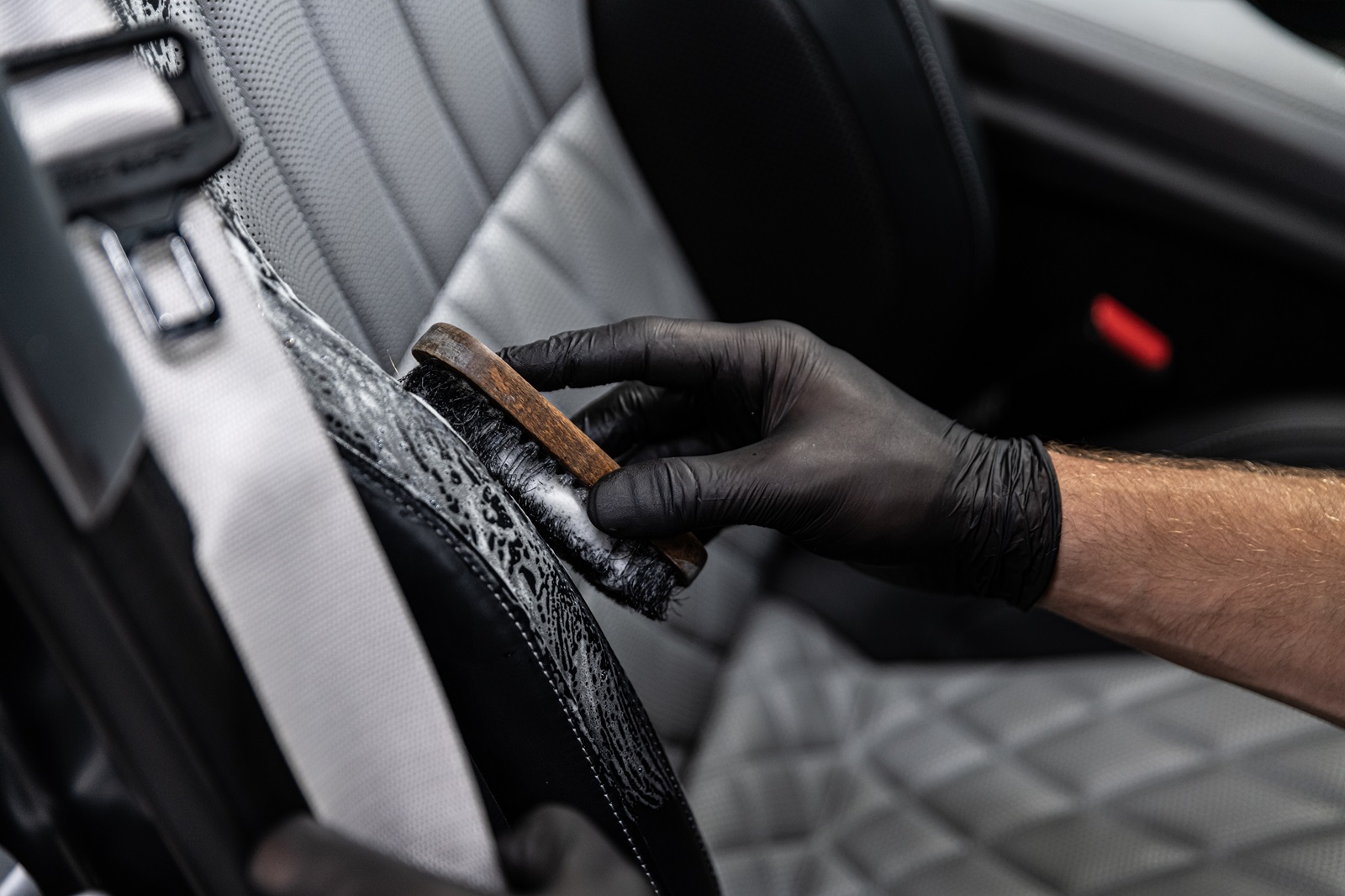 Mold in Car: How to Completely Remove Mold in Your Car