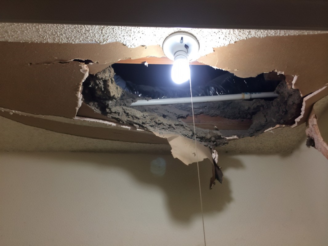 Navigating Water Damage Insurance Claims: A Step-by-Step Guide for ...