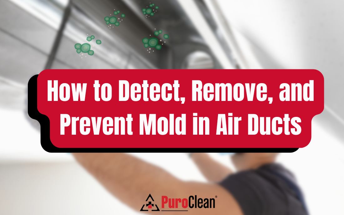 Mold in Air Ducts: How to Detect, Remove, and Prevent it.