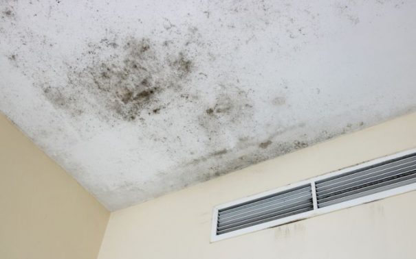 Tips for Preventing and Removing Mold on Bathroom Ceilings
